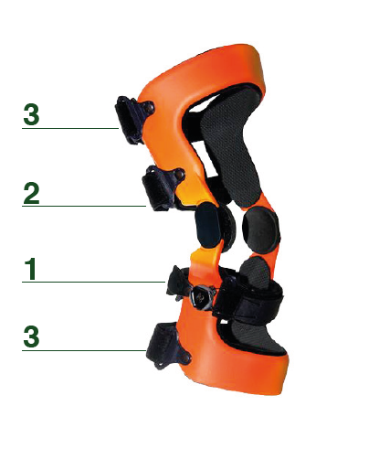 Instruction Orthèse du genou - Laboratoire EVO